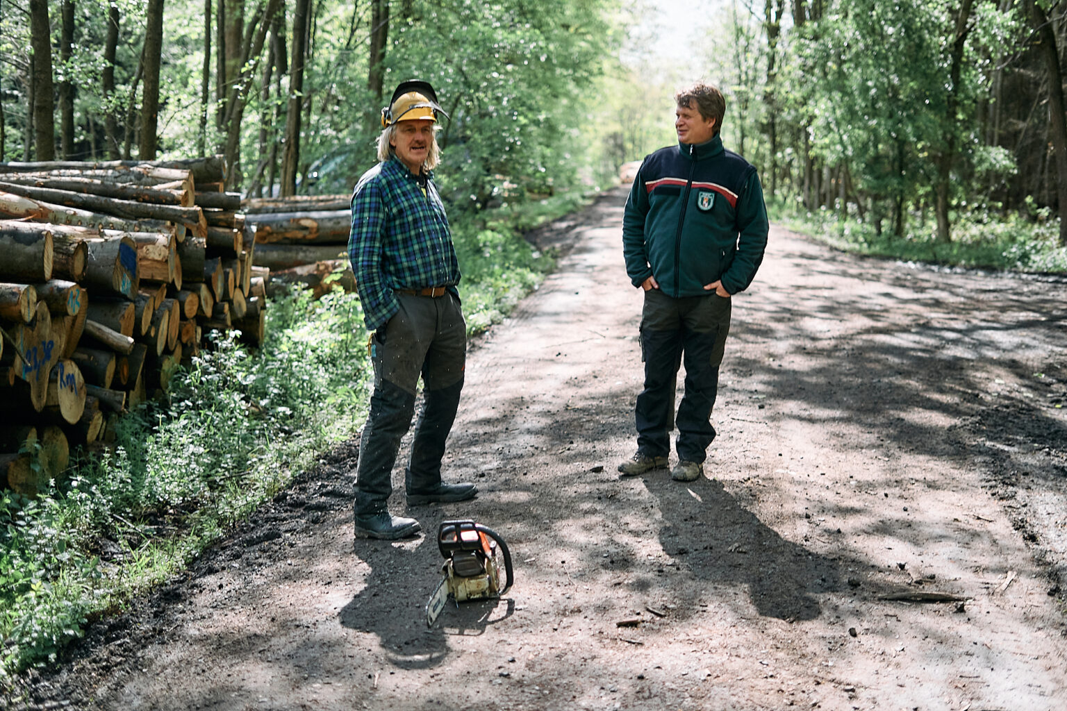 Holzsammelschein - Fürstliches Forstamt