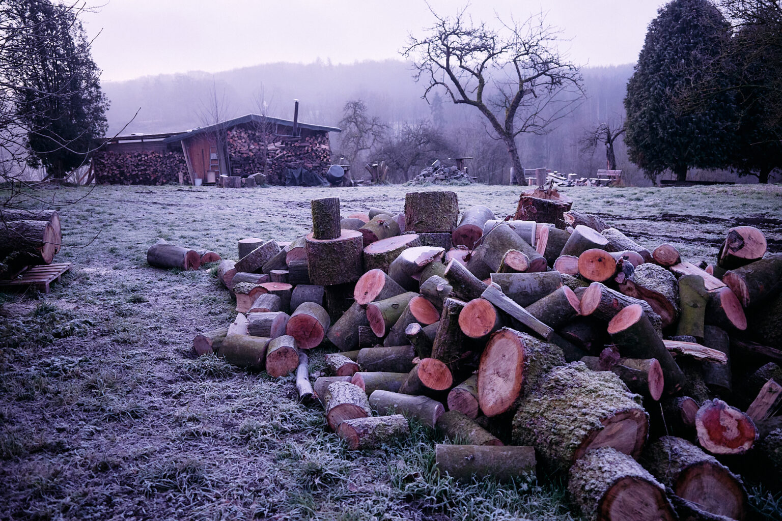 Holzsammelschein - Fürstliches Forstamt
